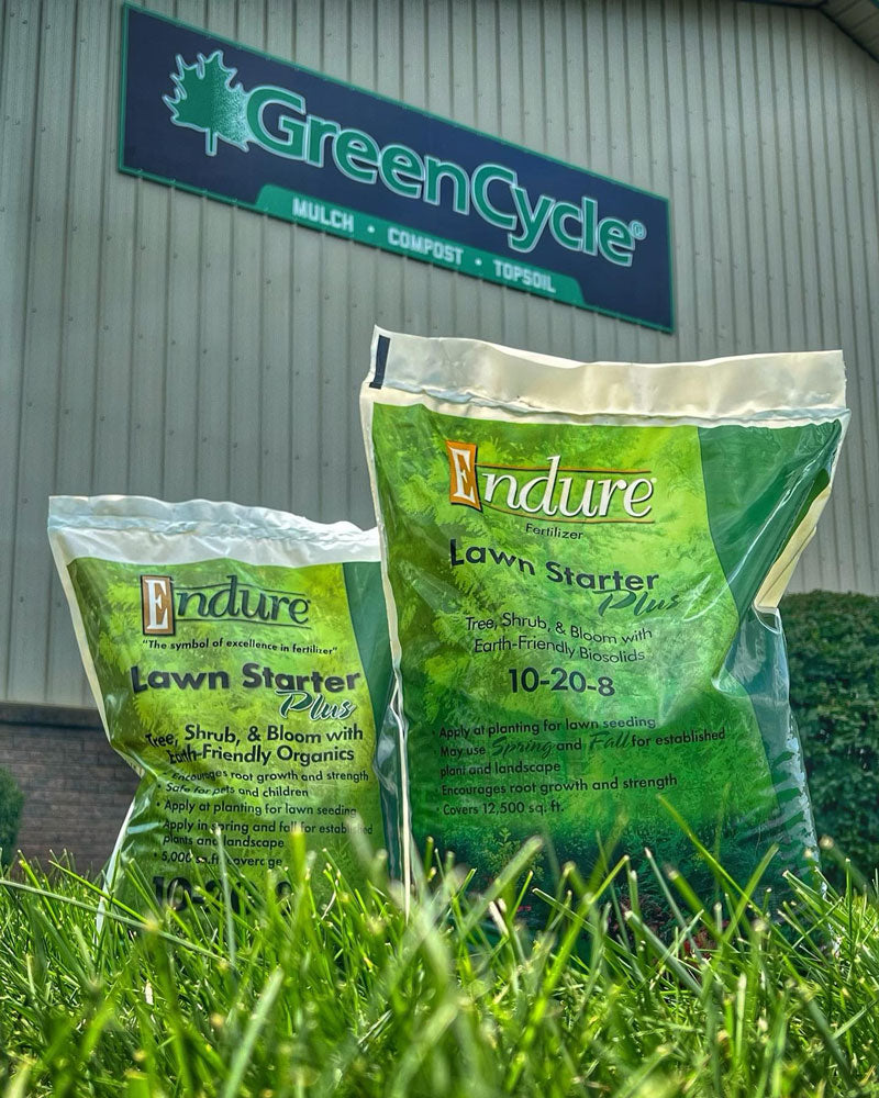 When is the best time to fertilizer my lawn? – GreenCycle